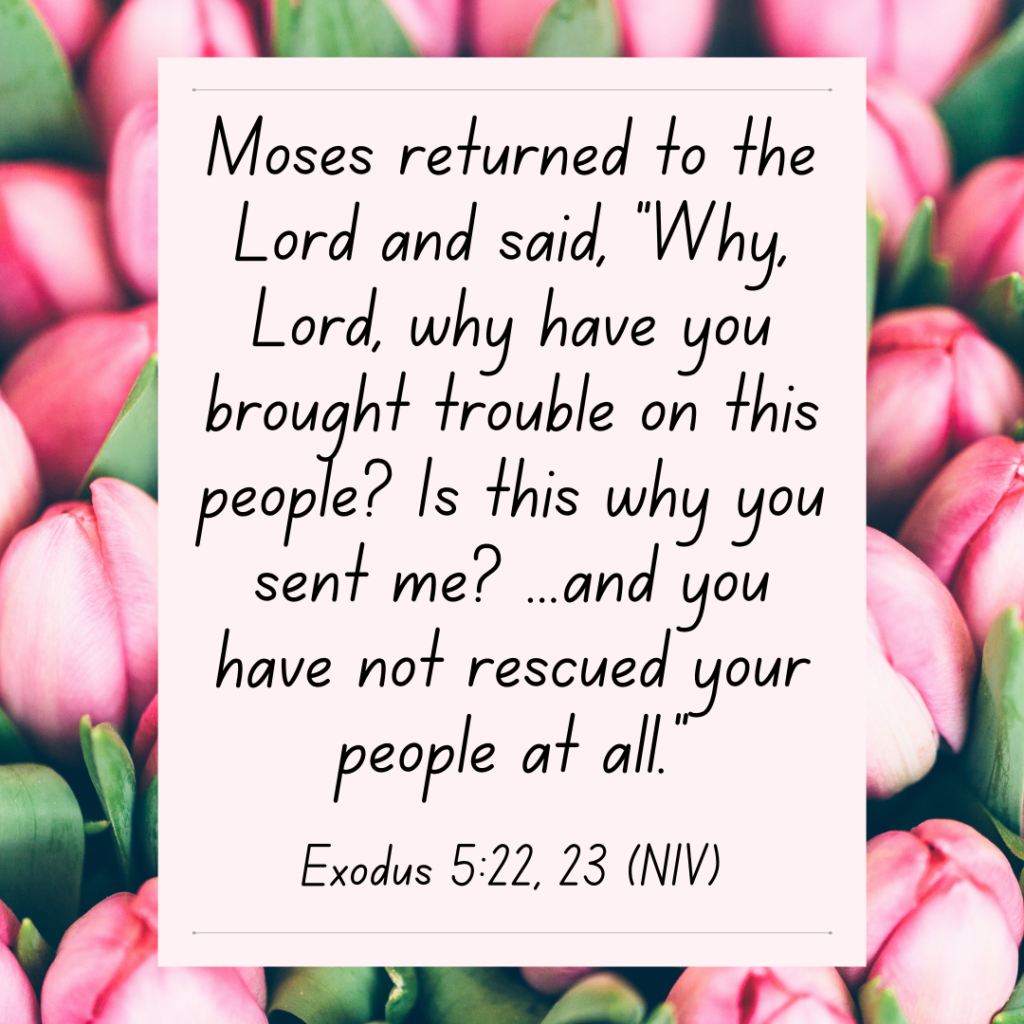 Starting Is Hard Exodus 5 Bible Devotional Clueless Journal Starting Is Hard Exodus 5 Bible Devotional Clueless Journal